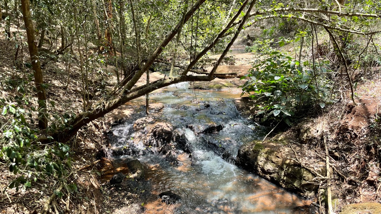 Vidole vidonda – kipeät varpaat | Viileät vedet